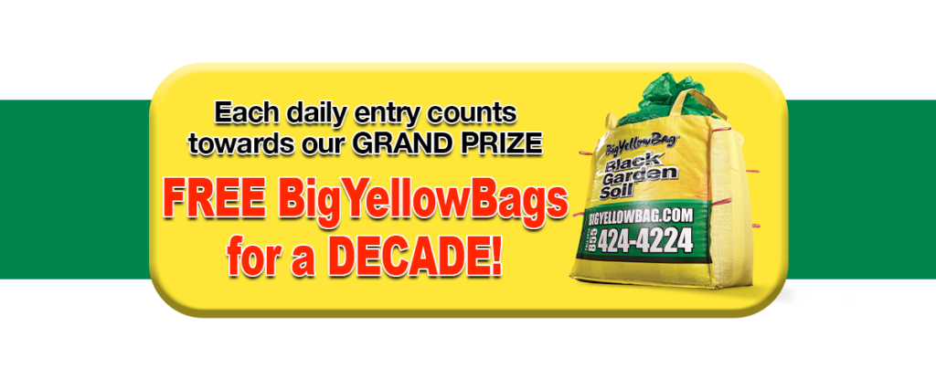 Grand-Prize » BigYellowBag Blog